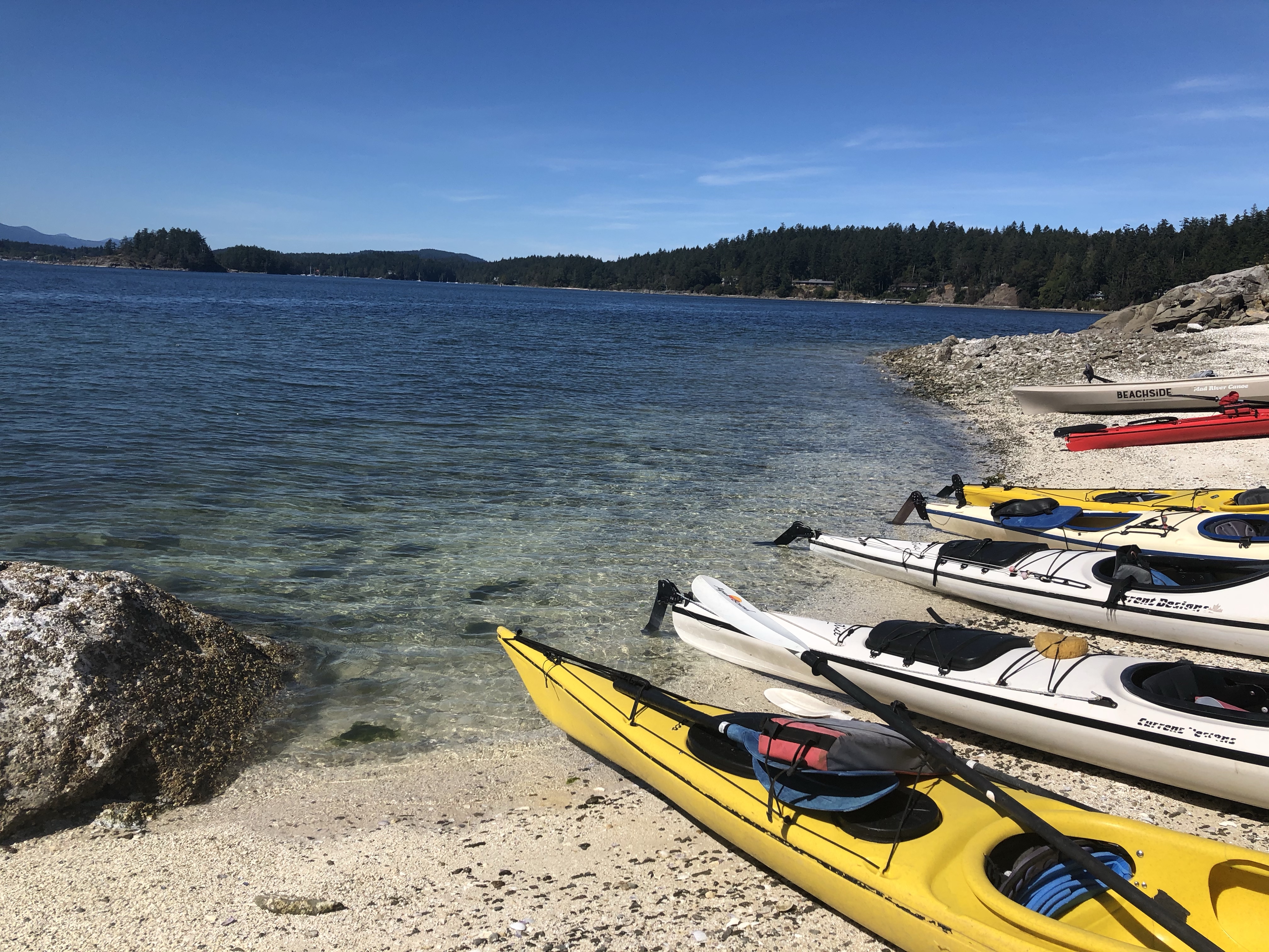 Set Sail to Salt Spring Island – Cailín in Canada